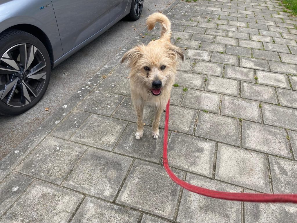 Mylo – Docoldenzaal